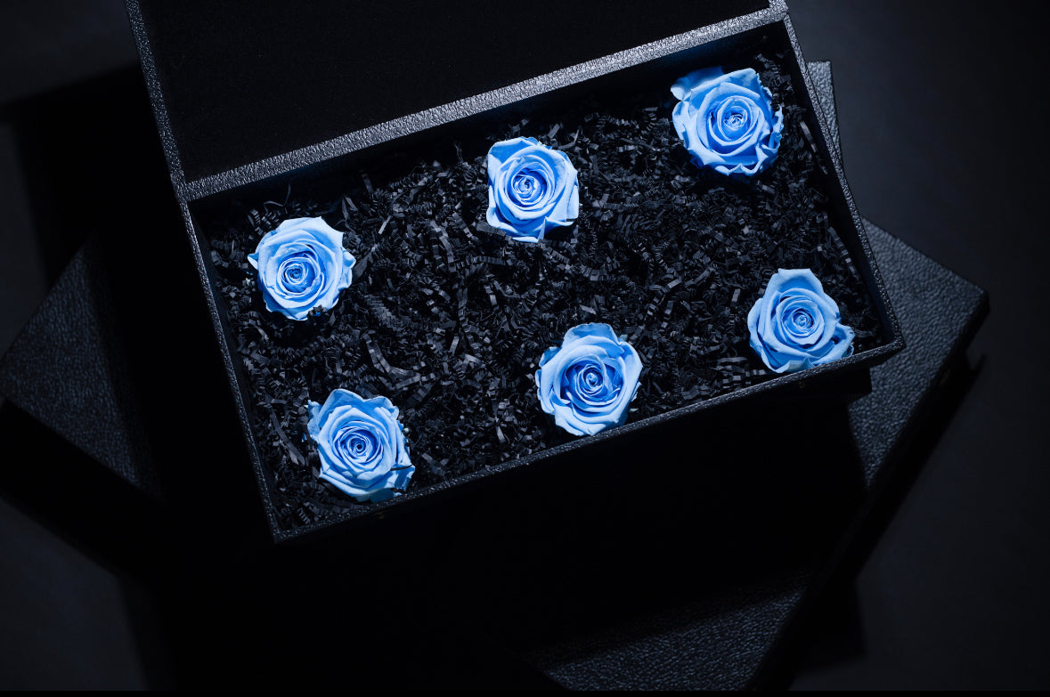 LIGHT BLUE FOREVER ROSES – Oh My Garden, What The Flower